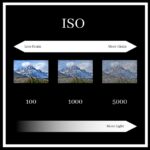 30 Tips for New Photographers! | Jenn Chen Photography