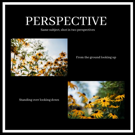 30 Tips for New Photographers! | Jenn Chen Photography